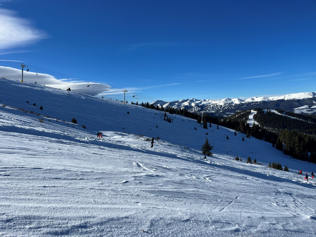 A Bluebird Day for Bergman’s Grand Debut - Bluebird Oxygen